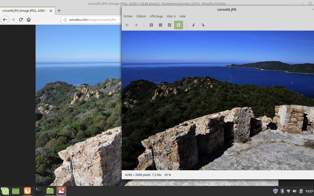 Much darker image · Issue #80 · linuxmint/xviewer · GitHub