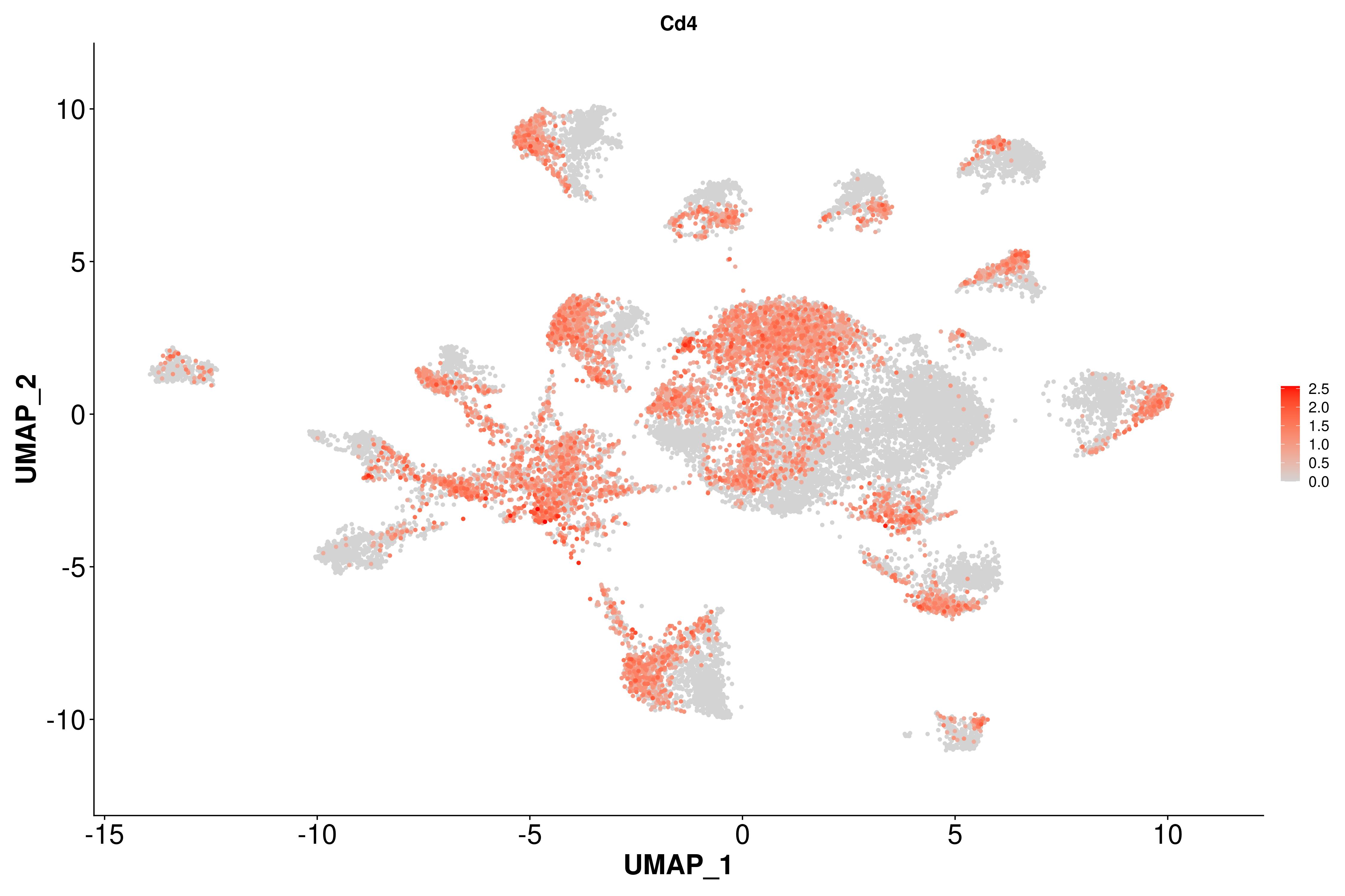 SCTransform creates many half clusters of cell types (cd4 and cd8 t ...