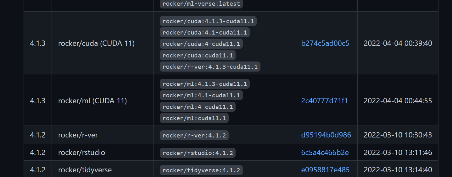 Divide the reporting job into groups · Issue #403 · rocker-org/rocker-versioned2 · GitHub