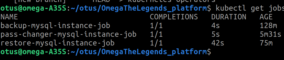GitHub - otus-kuber-2022-09/OmegaTheLegends_platform: OmegaTheLegends Platform repository