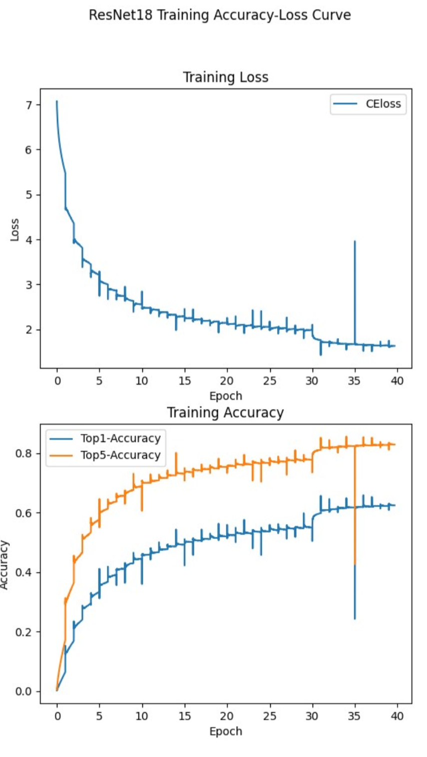 Resnet50 training loss不下降 · Issue #56865 · PaddlePaddle/Paddle · GitHub