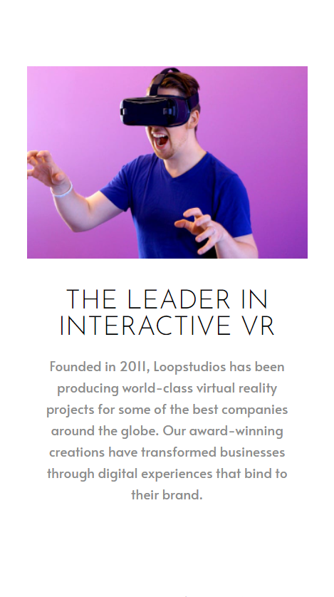 GitHub - LiyanNguyen/Loopstudios: A Modern VR Company Landing Page featuring sections ...
