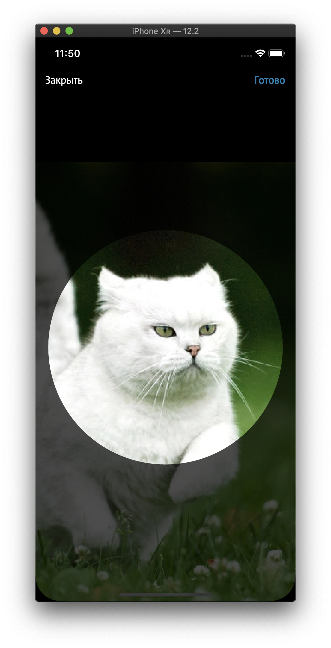 Ignorepointer Not Ignoring The Whole Surface When Using With Clippath