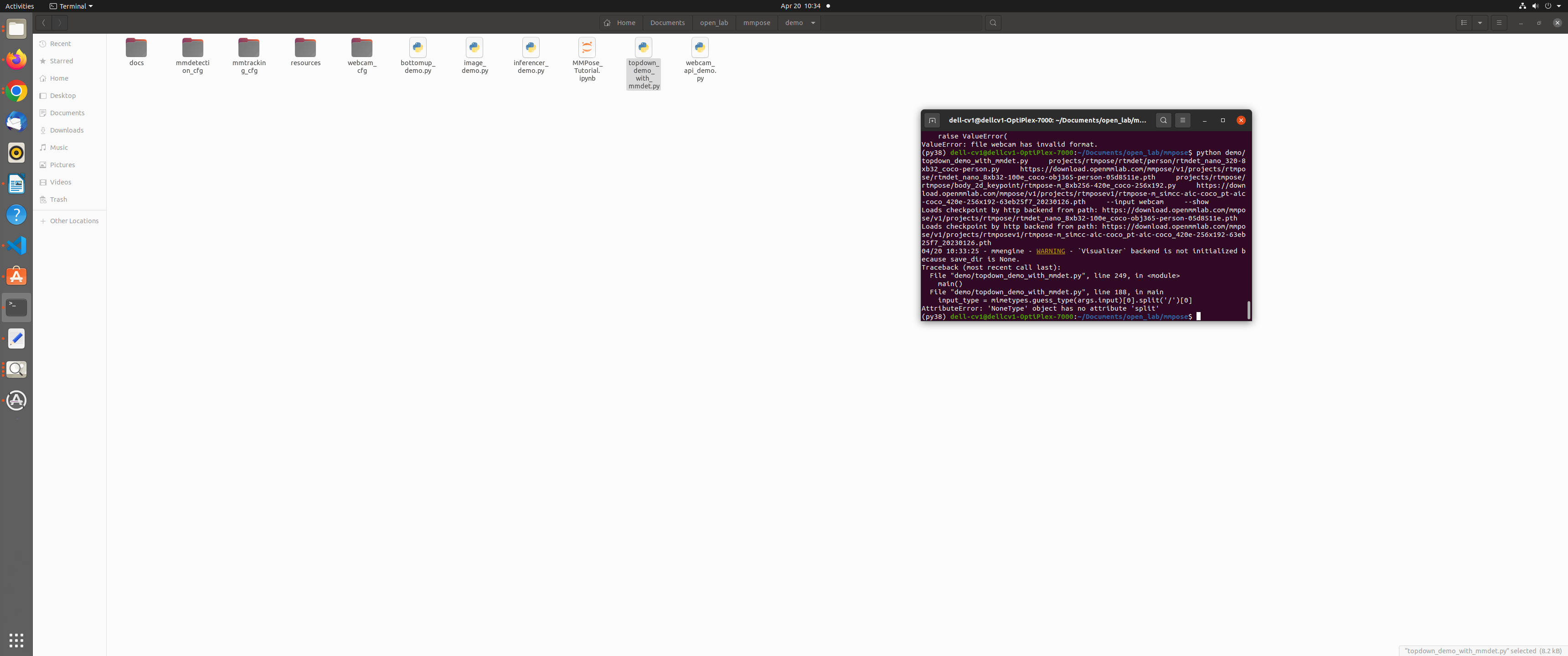input_type = mimetypes.guess_type(args.input)[0].split('/')[0] · Issue #2267 · open-mmlab/mmpose ...