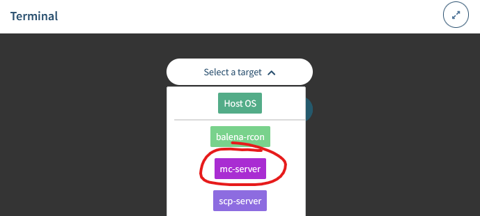 [BUG] 1.18 needs Java 17 · Issue #177 · AlexProgrammerDE/balena-minecraft-server · GitHub