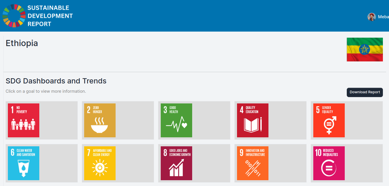 GitHub - mebsahle/SDG-Reporter