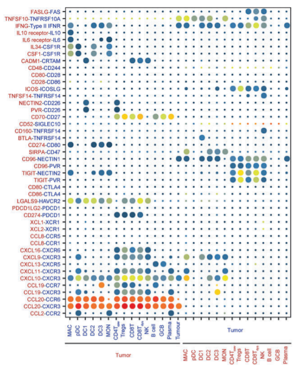 A question about function of netvisual_bubble · Issue #10 · sqjin/CellChat · GitHub