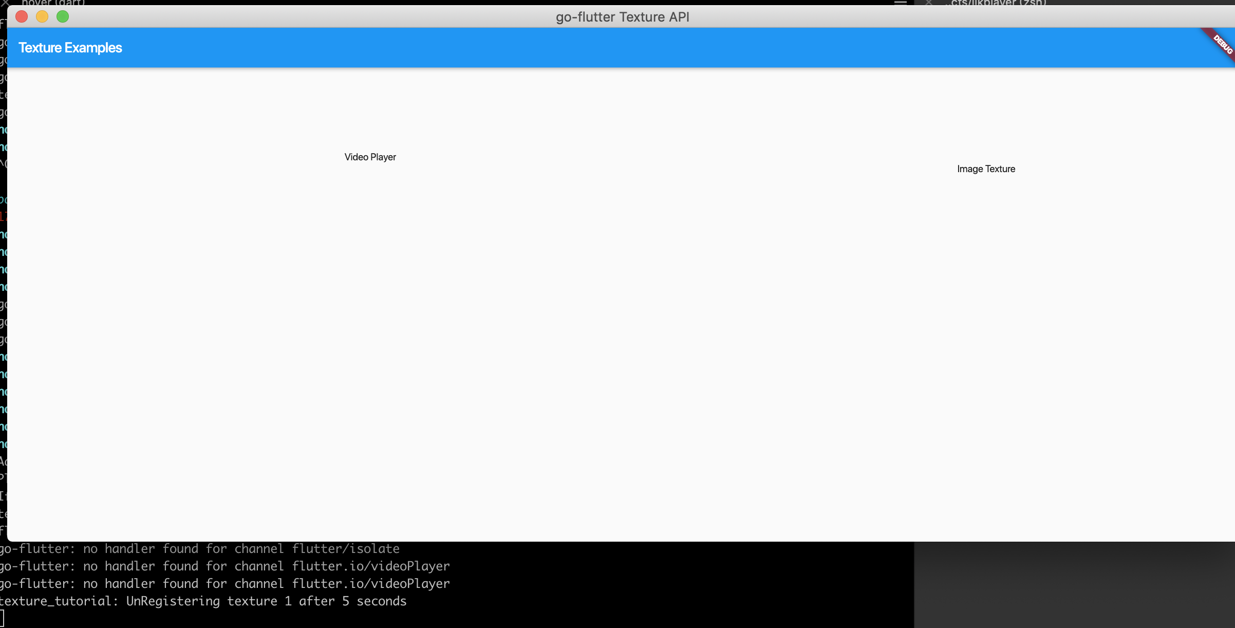 Crashed When Textureunregister · Issue 299 · Go Flutter Desktopgo Flutter · Github