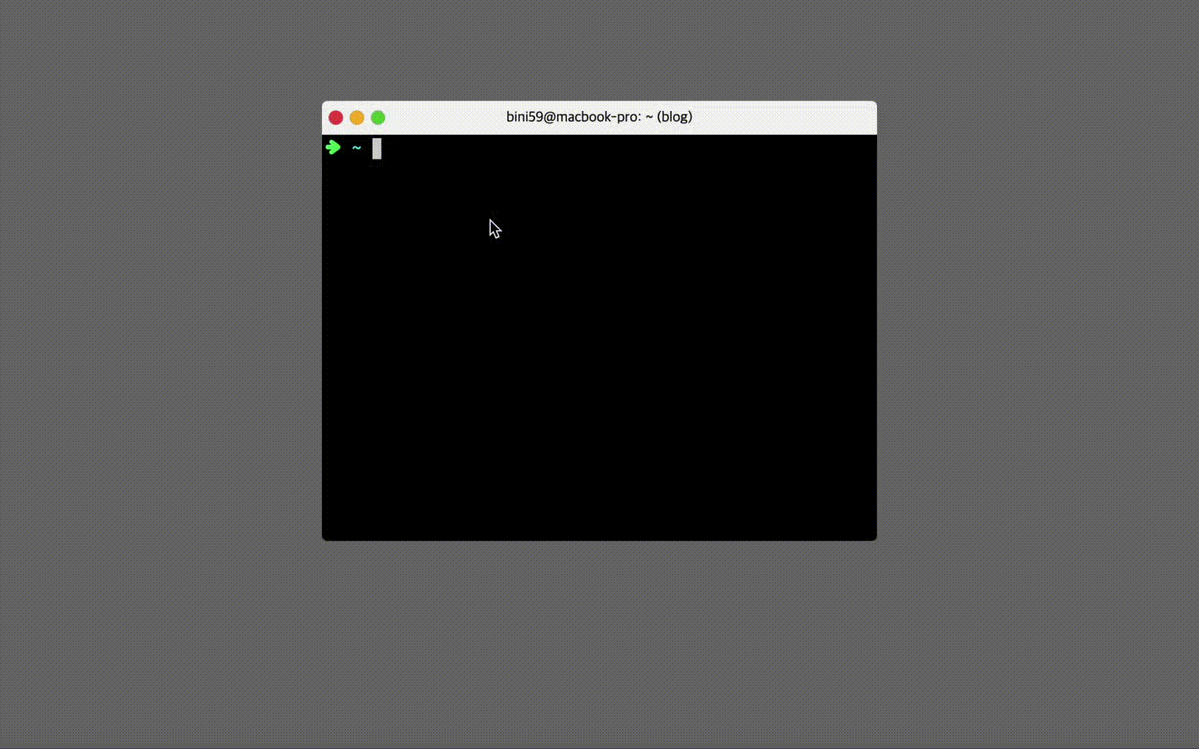 GitHub - bini59/browser-terminal