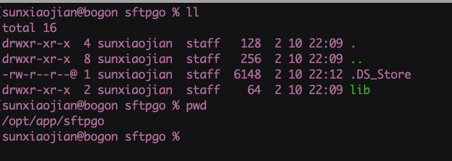 There Is A Problem With Docker Deployment · Issue 1186 · Drakkansftpgo · Github