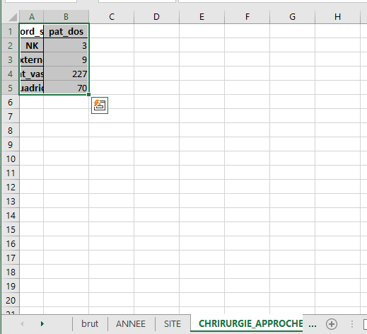 Copy an Exels datasheet directly in word document (like Richtext ...