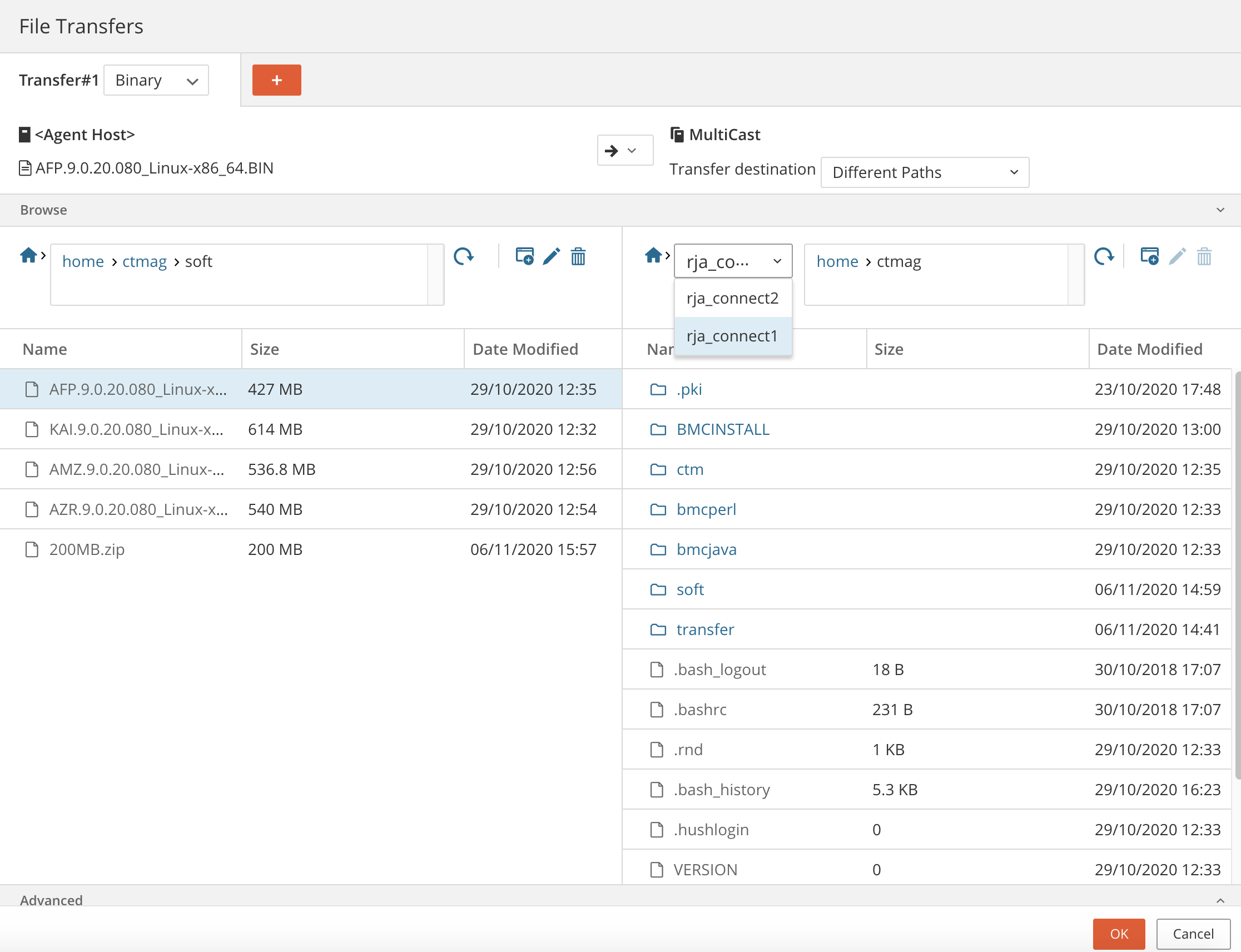 GitHub - Regardtj/Control-M-SaaS-File-Transfer: This is a Repo for ...