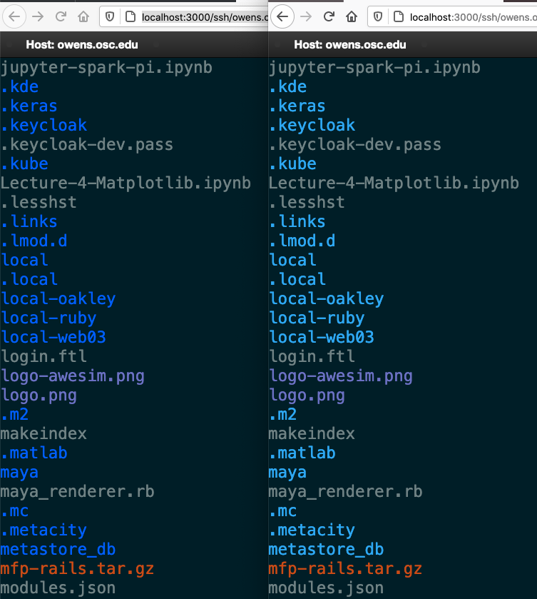 Address color scheme limitations with Shell themes in hterm · Issue #902 · OSC/ondemand · GitHub