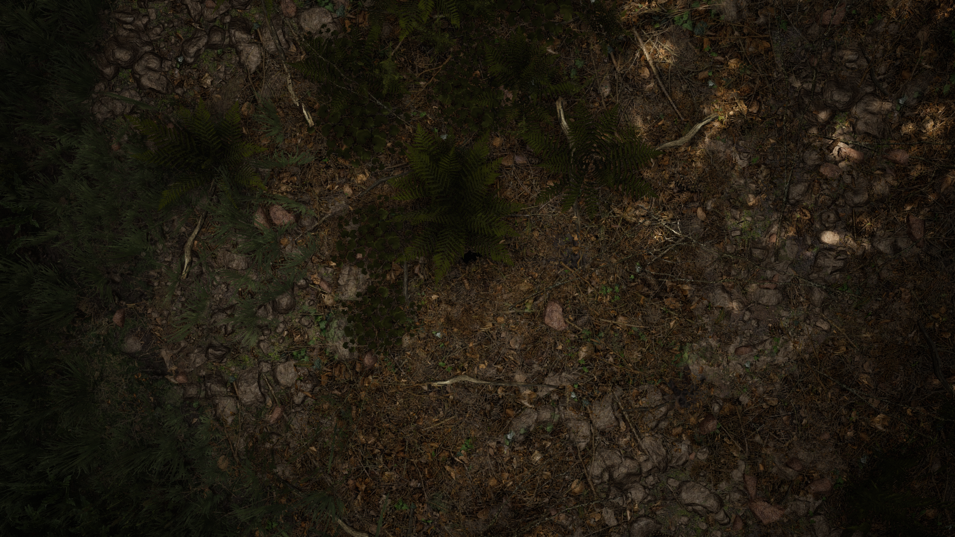 Dark Forest Ground Texture