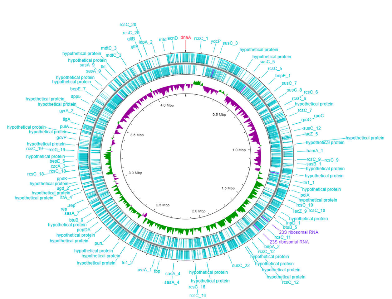 GitHub - hunglinchen2003/Bacteria-WGS-assembly