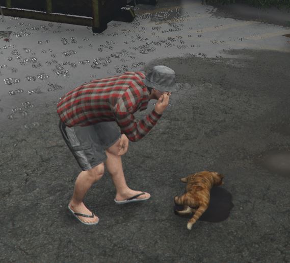 GitHub - Thom512/Chasse