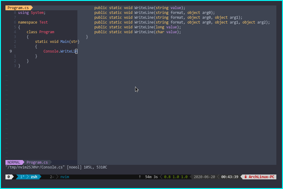 No Documentation shown on popup · Issue #600 · OmniSharp/omnisharp-vim · GitHub