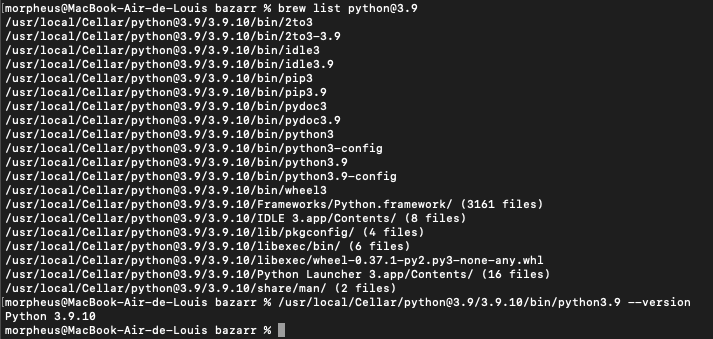 Python dock icon appears while running bazarr [macOS] · Issue #1775 ...