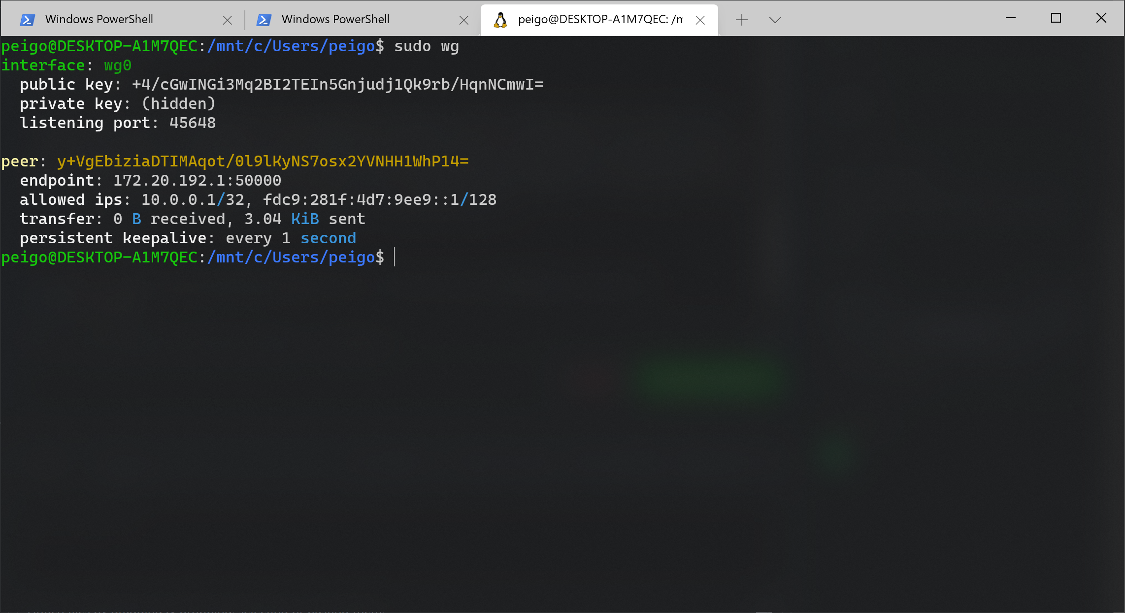 Problem With Wsl2 Udp Packet Routing · Issue 6920 · Microsoftwsl · Github