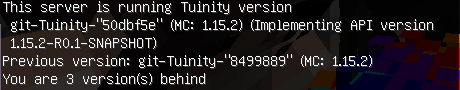 Cannot Send Chat Message · Issue #78 · Tuinity/Tuinity · GitHub