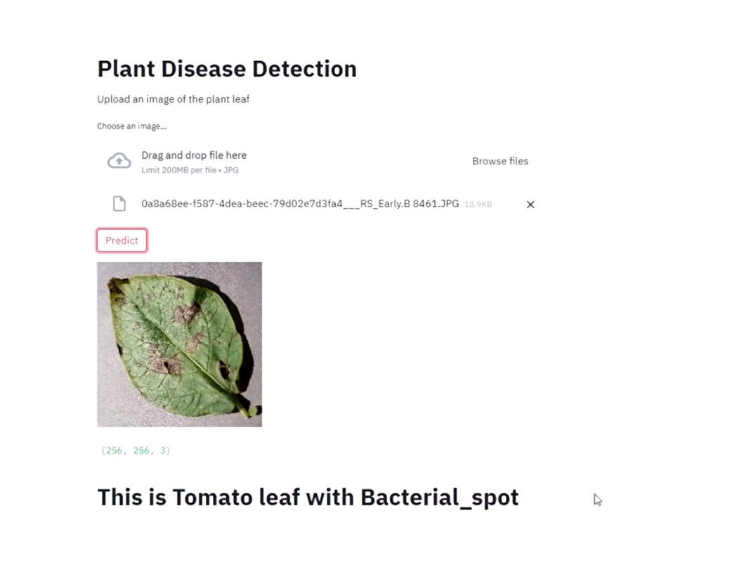 GitHub - akibiqbal98/Plant-Disease-Prediction-App-With-Deployment