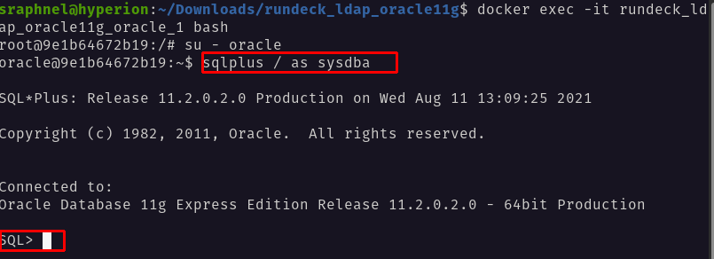 Docker Images - boot .SpringApplication Error · Issue #7189 · rundeck/rundeck · GitHub