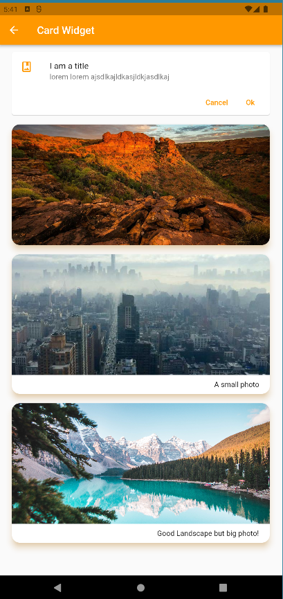 GitHub - BryanParada/flComponents: Flutter Components