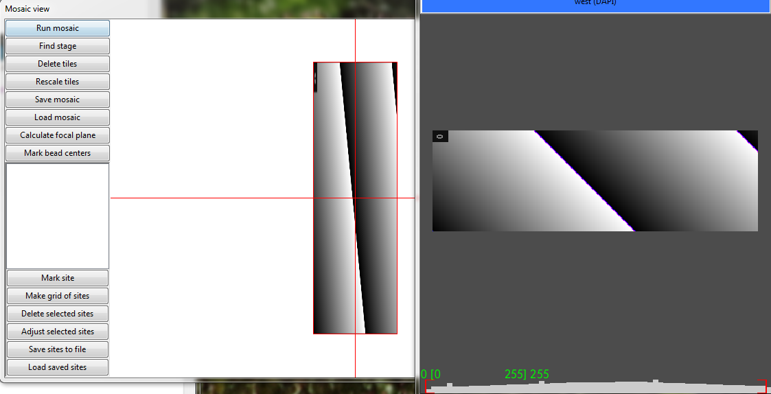 Mosaic Deals Fine With Rectangular Images But The Viewcanvas Doesnt · Issue 493 · Microscope