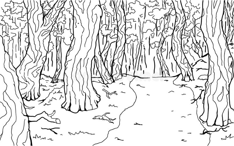 Gitcoin Hyperstructure Line Art · Issue #272 · gitcoinco/skunkworks · GitHub