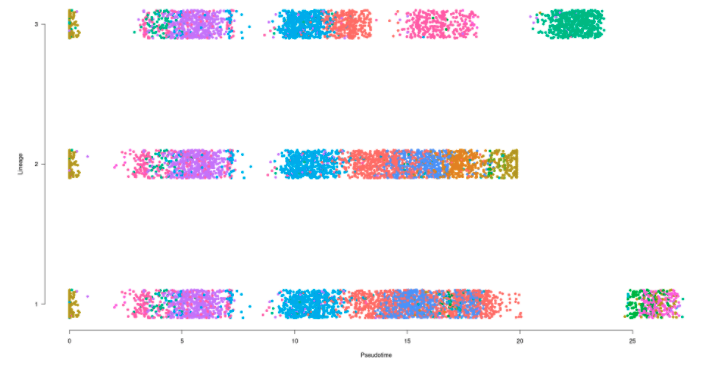 legend for plots · Issue #124 · kstreet13/slingshot · GitHub