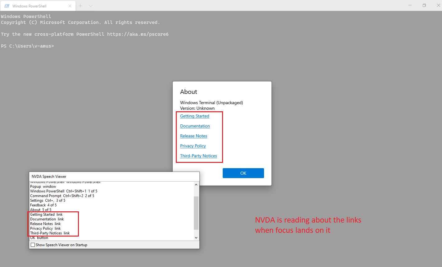 A11y_Windows Terminal_About_Screen Reader: Narrator/NVDA not reading anything when focus lands ...