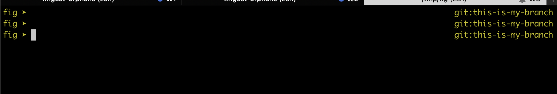 Fig doesn't respect existing zshrc setting · Issue #410 · withfig/fig · GitHub