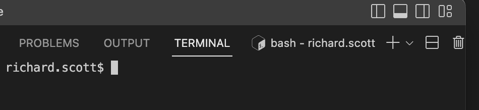 Terminal Maximize icon missing · Issue #171735 · microsoft/vscode · GitHub