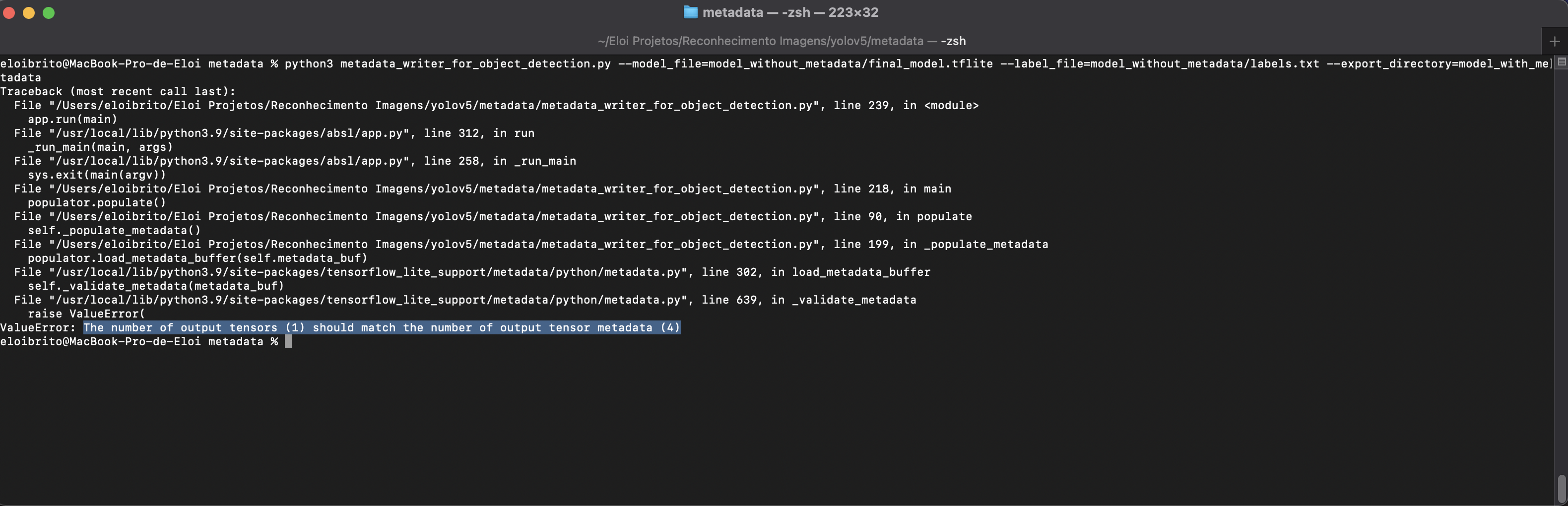 The number of output tensors (1) should match the number of output tensor metadata (4) (#4760 ...