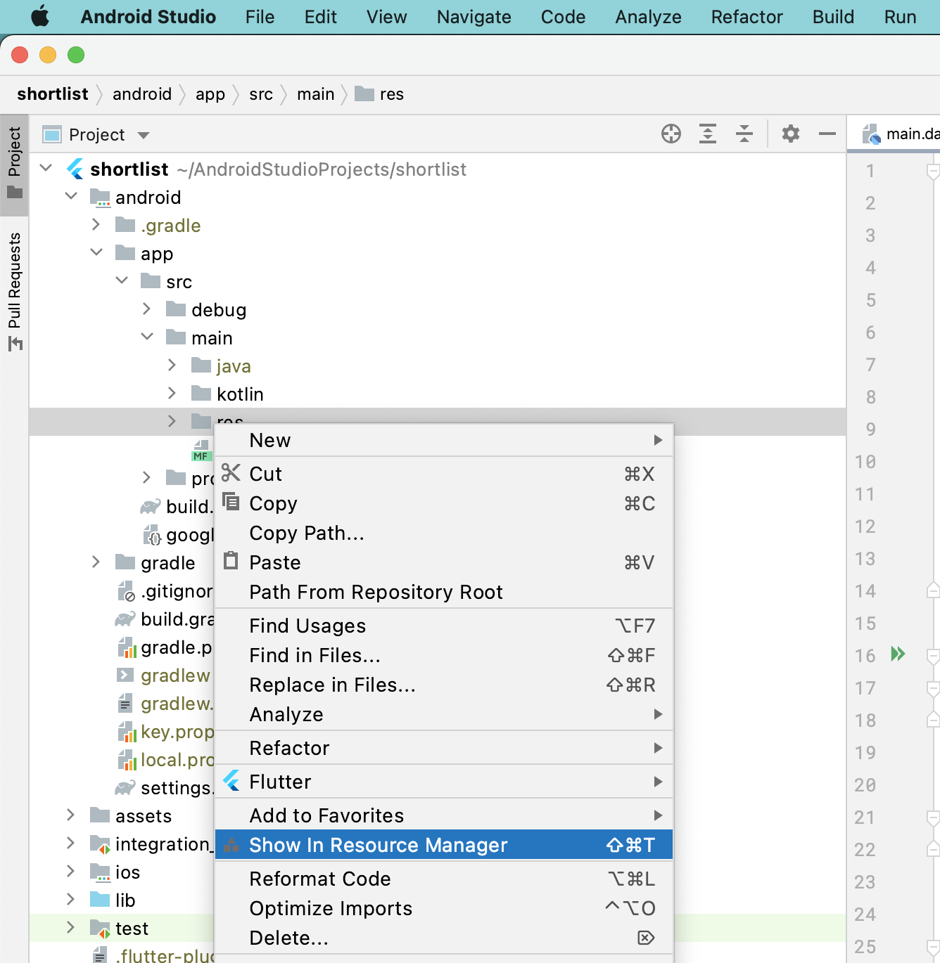 Re-enable Resource Manager for Flutter Projects · Issue #5846 · flutter ...