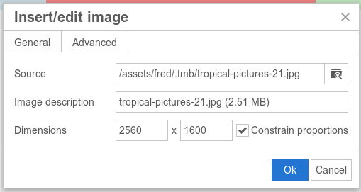 Don't set dimensions on image upload · Issue #2 · modxcms/fred-rte-tinymce · GitHub