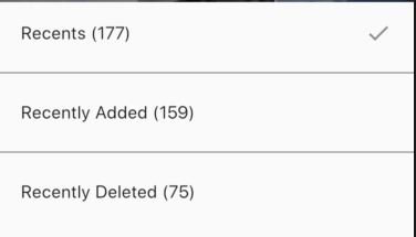 [BUG] PhotoManager.getAssetPathList hasAll incorrect on iOS simulator · Issue #194 ...