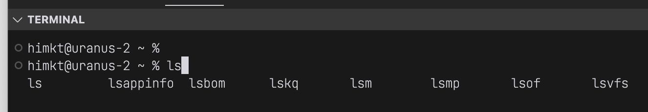 `_arguments:comparguments:409: not enough arguments` on the integrated terminal · Issue #161159 ...