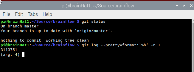 Major performance problems with latest brainflow · Issue #266 ...
