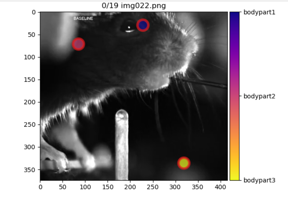 Flipped manual labeling · Issue #908 · DeepLabCut/DeepLabCut · GitHub