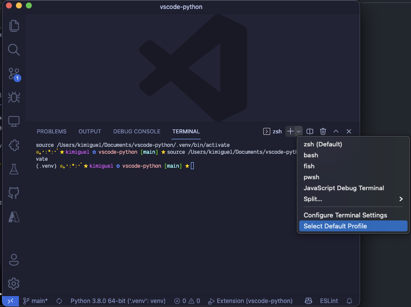 Send Selection To Python Terminal Not Working · Issue 17068 · Microsoftvscode Python · Github 2560