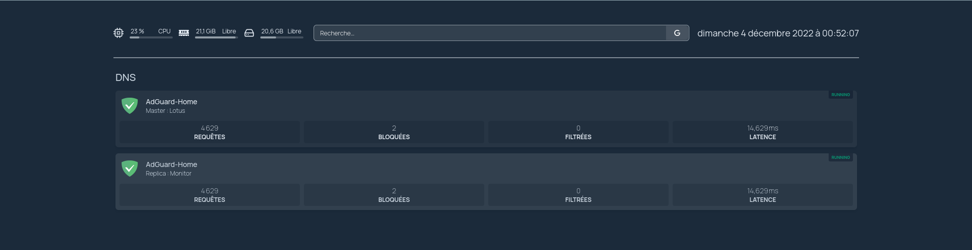 [Bug] Multiple Adguard Widget · Issue #613 · gethomepage/homepage · GitHub