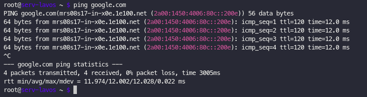 DNS Fallback · Issue #602 · netbirdio/netbird · GitHub
