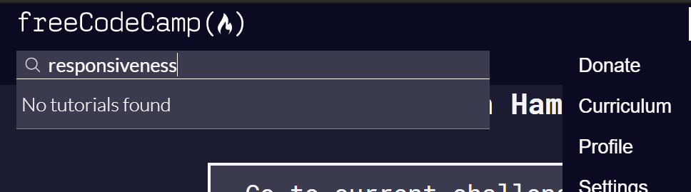 "No Result found" Message should be shown on search result page ...