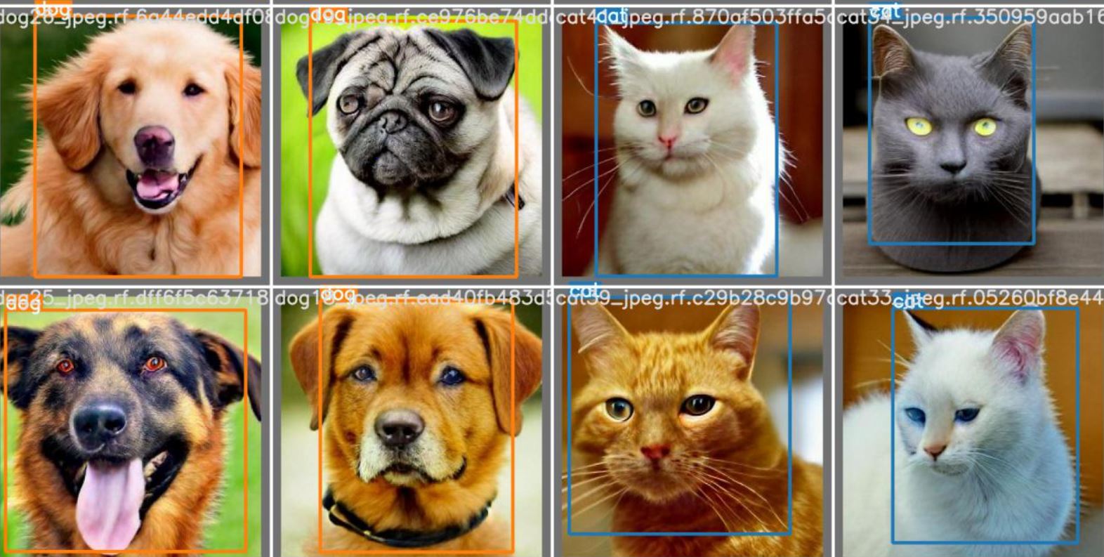 GitHub - PranavChakane/Cat-and-Dog-detection-using-Yolov7