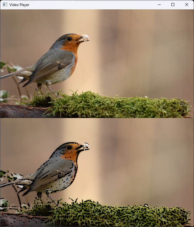 GitHub - ehn1225/VideoCartoonizer: Program using OpenCV to play video in cartoon style