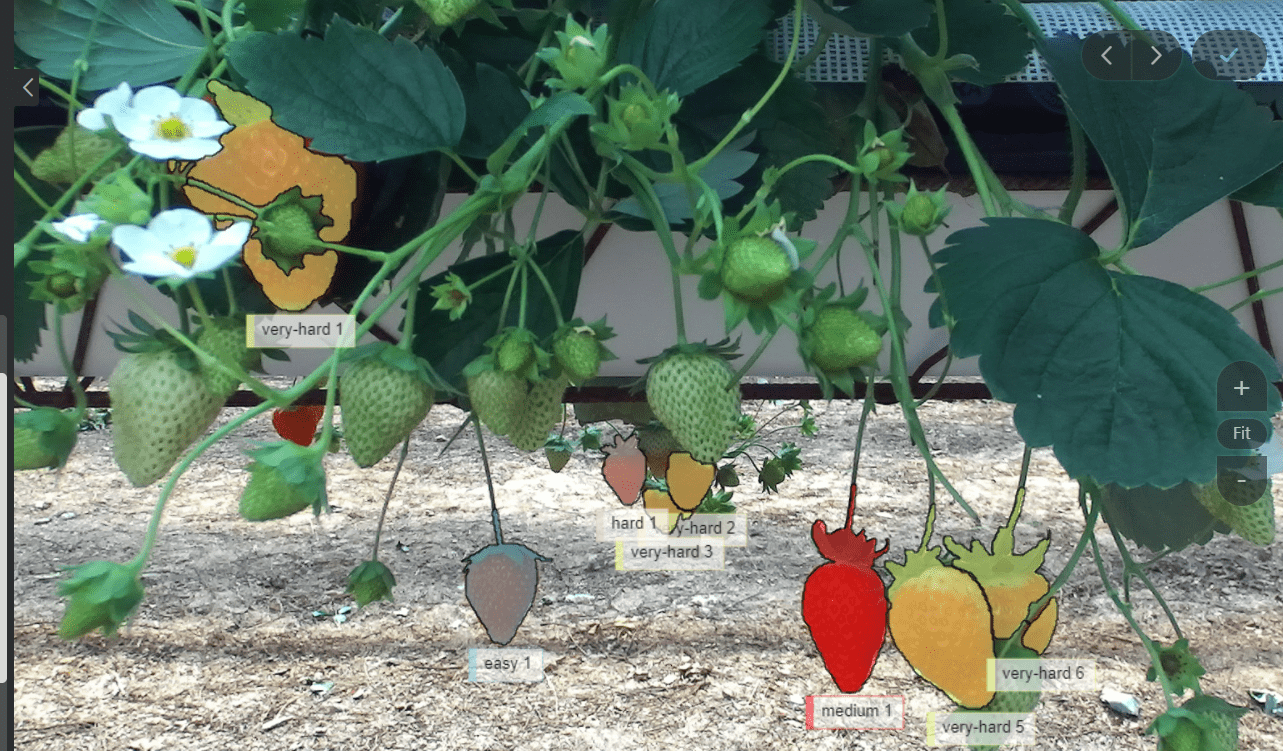 GitHub - srt3000/Complexity-Analysis-for-Strawberry-harvesting-in ...