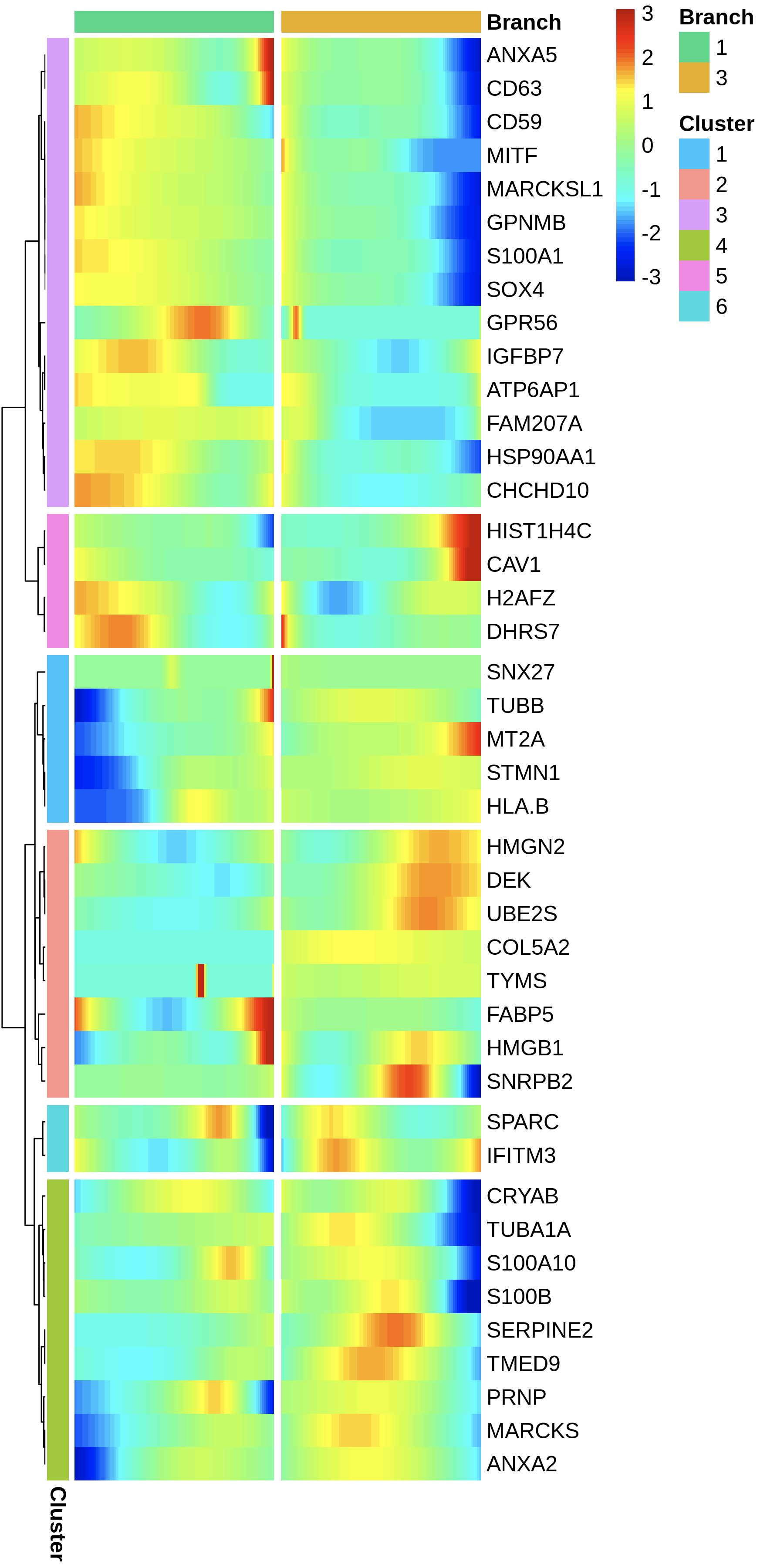 Questions Regarding Plotmultiplebranchesheatmap Output · Issue 408 · Cole Trapnell Lab