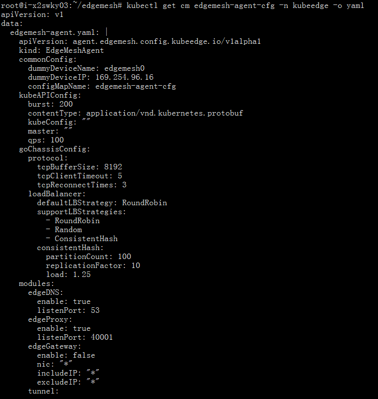 pod/edgemesh-agent-7crgk error · Issue #229 · kubeedge/edgemesh · GitHub