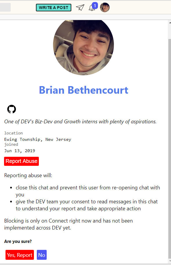 Self-Report on DEV Connect · Issue #4589 · forem/forem · GitHub